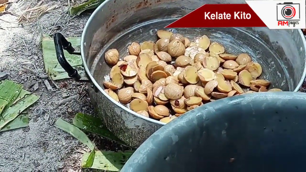 Jering Rebus - YouTube