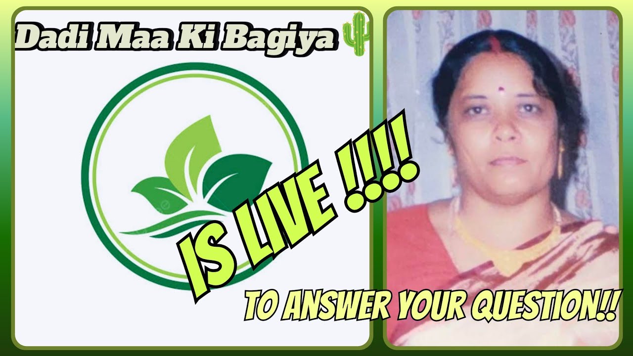 Dadi Maa Ki Bagiya is live! - YouTube