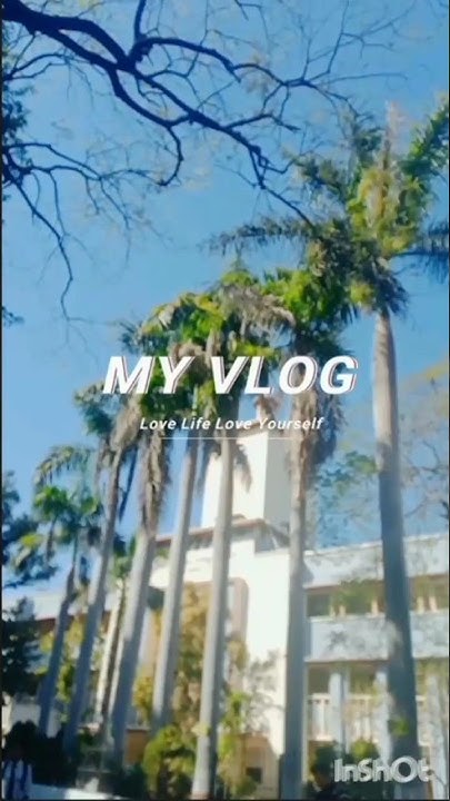 🥺 ️college Buddies Apnacollge Shorts Youtube