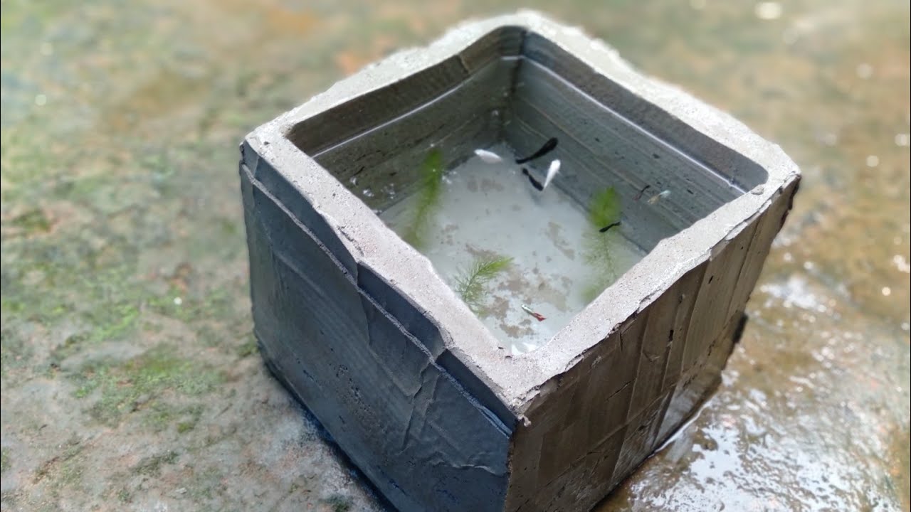 How To Make A Fish Tank With Cardboard Box And Cement | How To Make ...