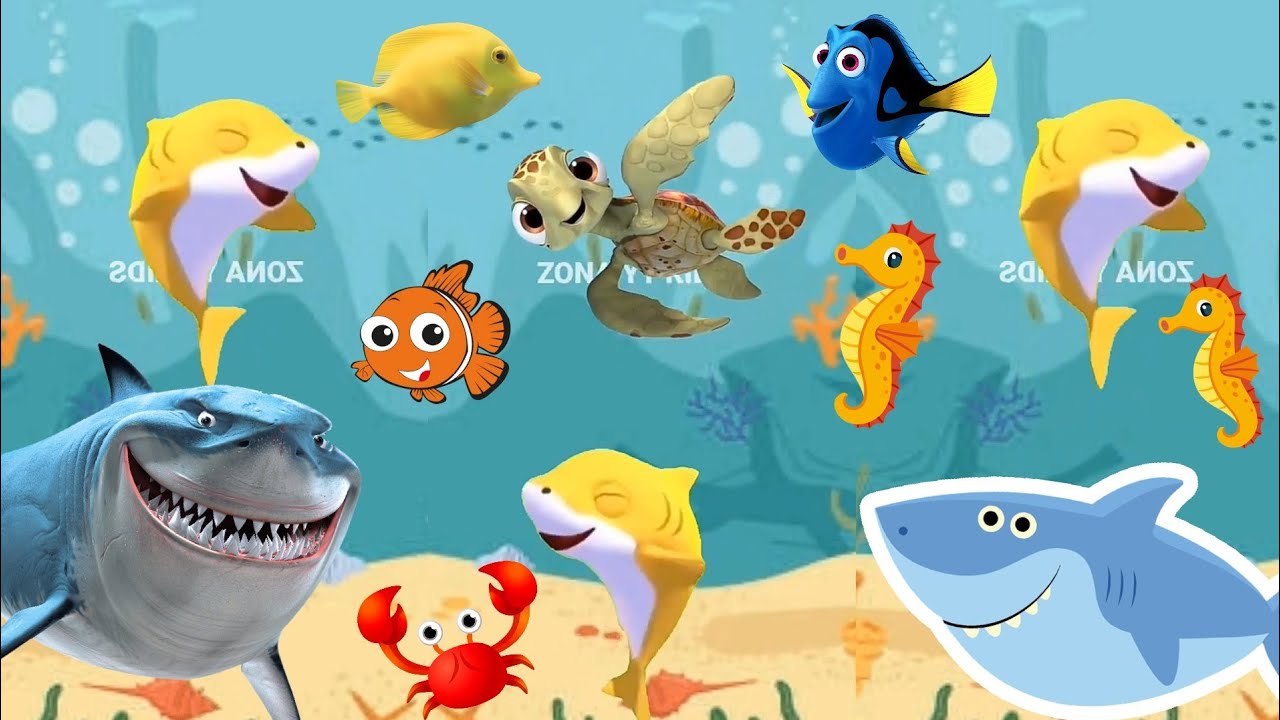 Show Baby Shark at Ocean Seaworld | Baby Shark Dance Song Dolphin ...