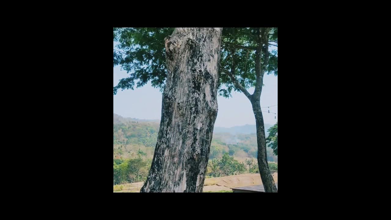 A L U M ( By : G I L G A. S A H I D) D I C O V E R : A L I N A. D A U L A Y - YouTube