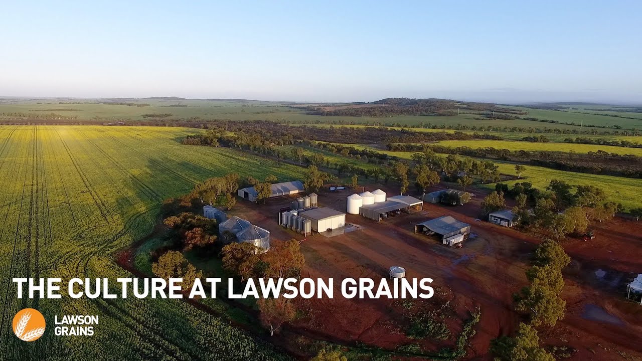 The Culture at Lawson Grains. Corporate Video. - YouTube