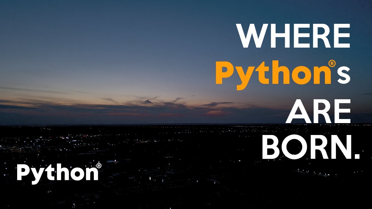 [Python] WHERE Pythons ARE BORN - YouTube
