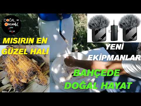 En Güzel Gün: Dostlarla Bahçe Keyfi, Közde Mısır ve Yeni Ekipman Denemesi