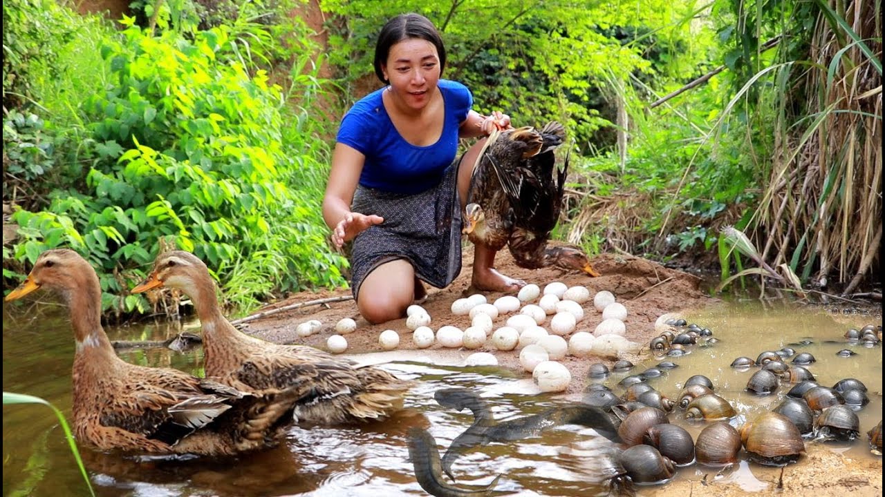 Pick duck egg and catch duck of survival /Cooking duck egg curry spicy ...