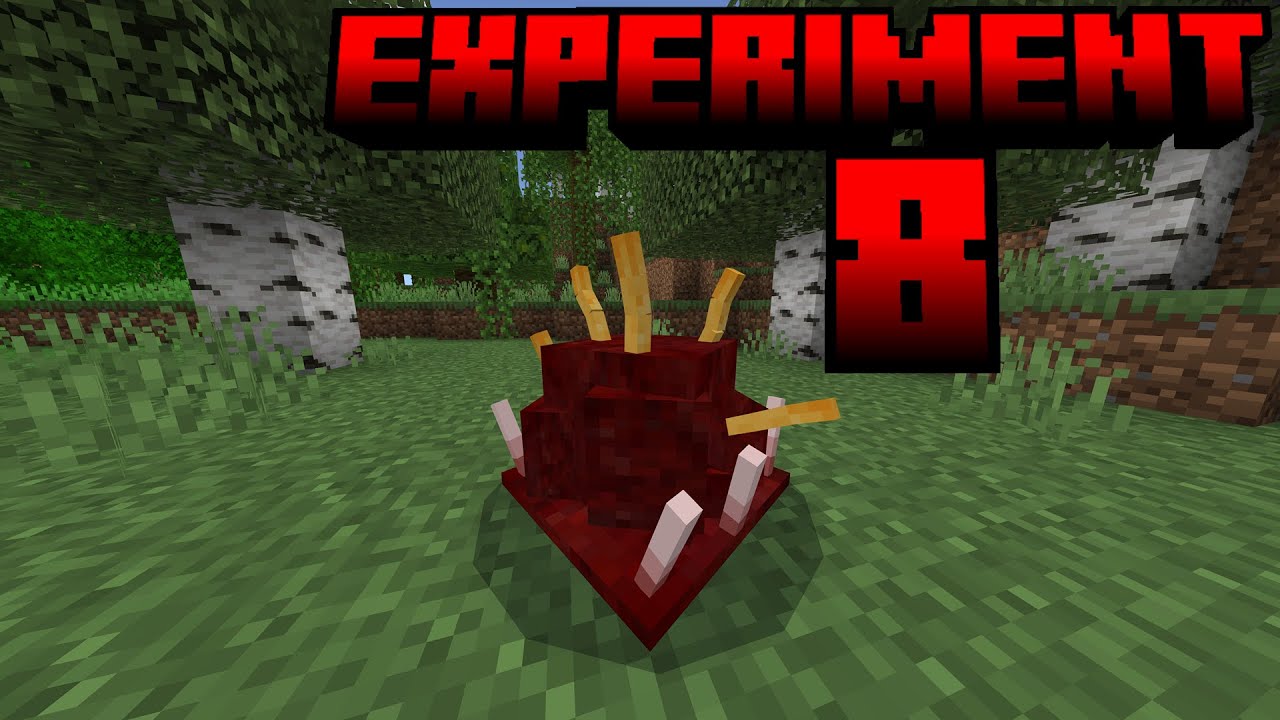 Experiment 8 MINI UPDATE V6.1 - YouTube