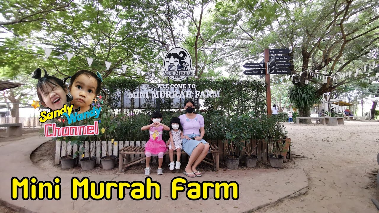 พี่แสนดี กับ น้อง วันดี | พา ไปเที่ยว Mini Murrah Farm - YouTube