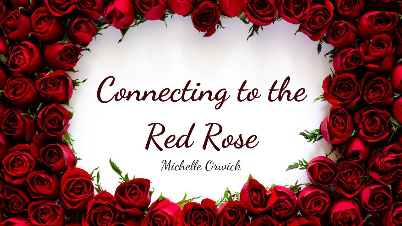 Connecting to the Red Rose | Meditation | Michelle Orwick - YouTube