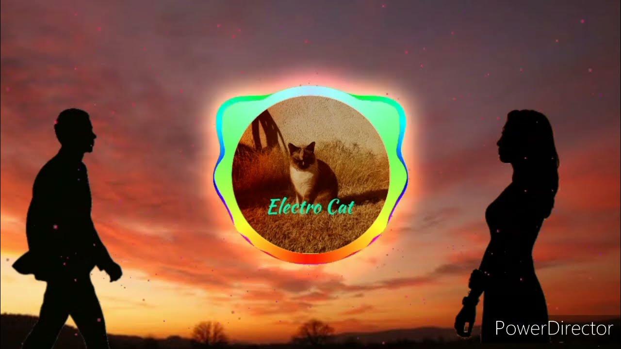 Electro Cat - With Ü - YouTube