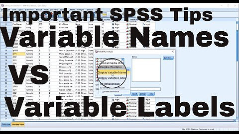 Ultimate SPSS Guide: Step-by-Step Tutorial Series to learn data ...
