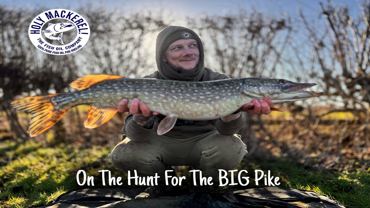 On The Hunt For The BIG Pike || Pike Fishing - YouTube