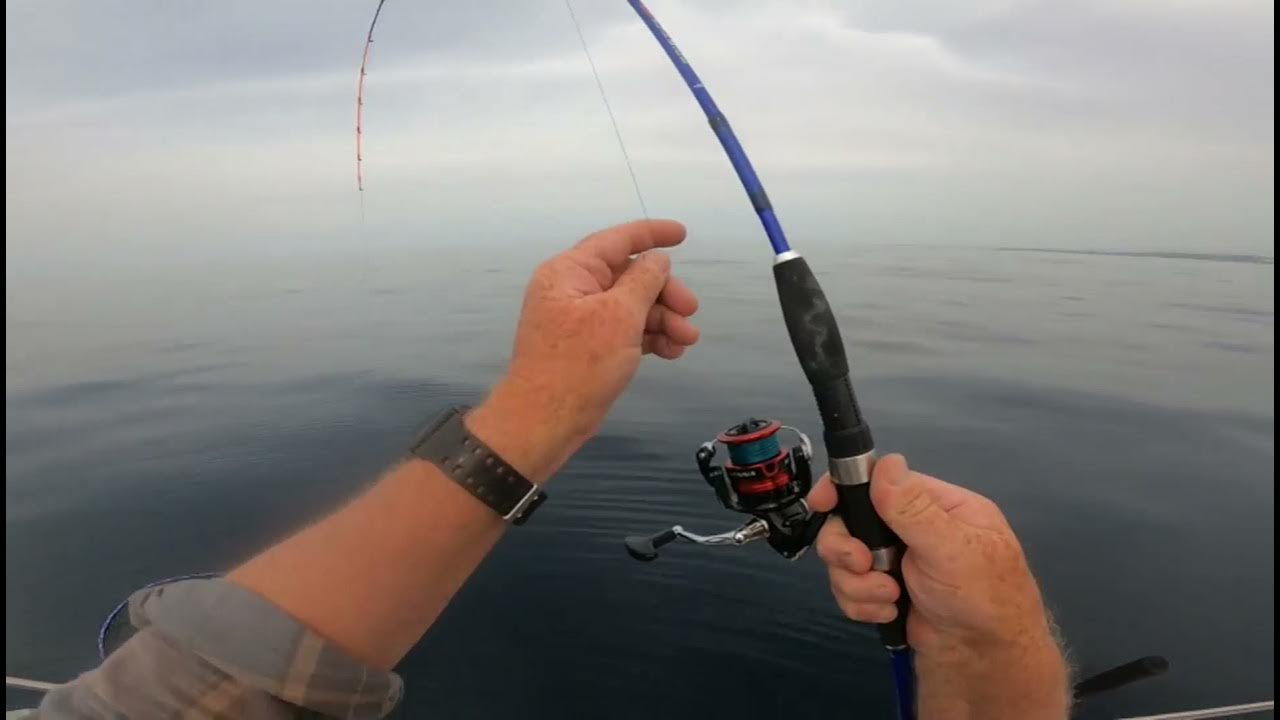 Pesca ao choco. Eging em Albufeira, Captura de grande polvo. - YouTube