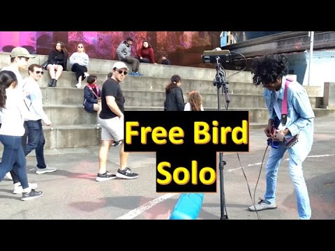 Lynyrd Skynyrd - Free Bird, Cover, Seattle Street performance, Space ...
