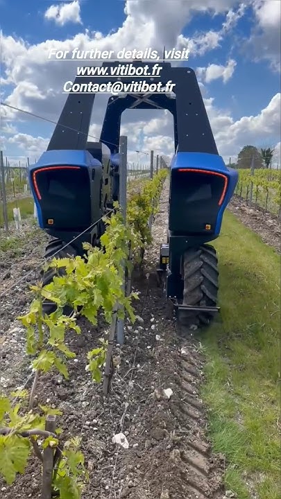 100% Electric & Autonomous Robot BAKUS For Vineyards || By VITIBOT France || #autonomous #robot ...
