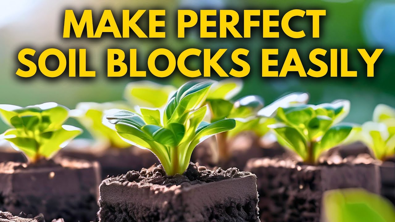 The BEST Way to Start Seedlings | How to make Soil Blocks - YouTube