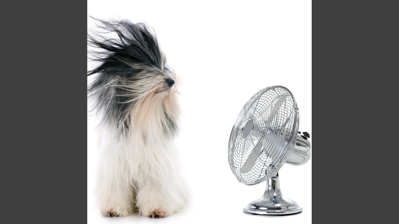 Fan Fix III (Long Version) - YouTube