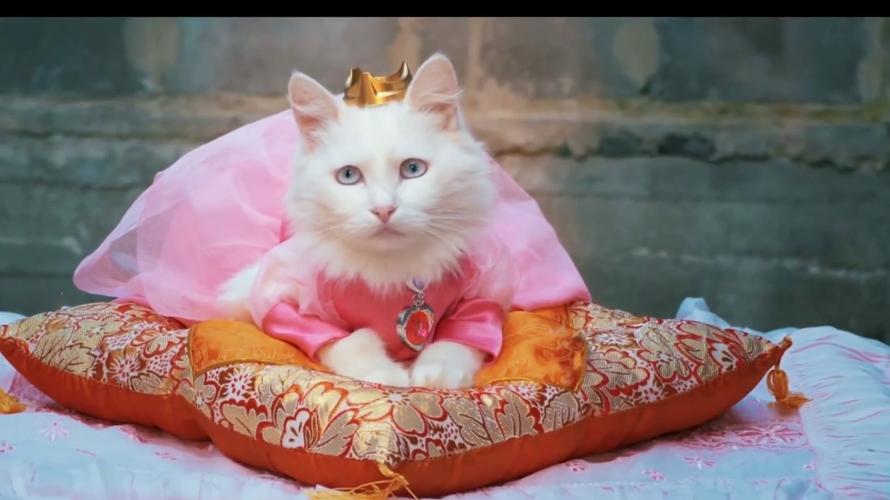 Le Avventure di Super Mario: Il salvataggio di Jenny Marchetti - YouTube