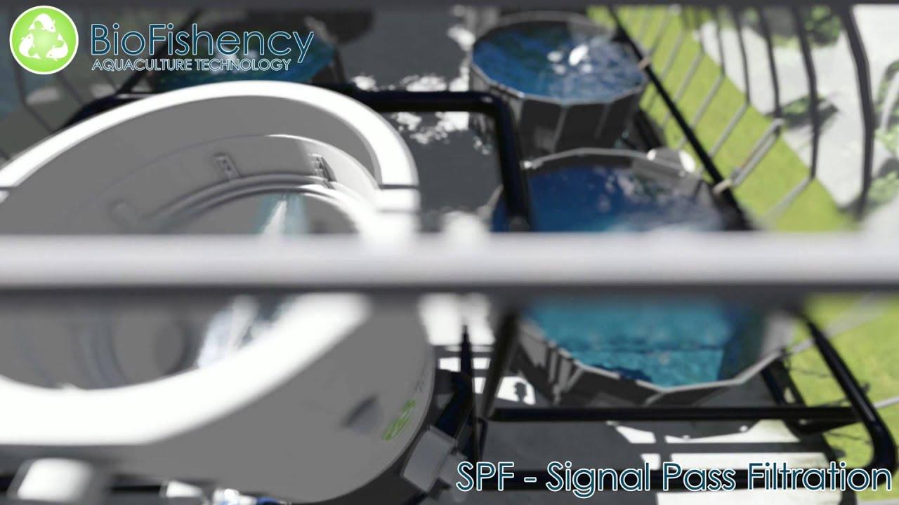 All-in-one water treatment system for aquaculture -- BioFishency - YouTube