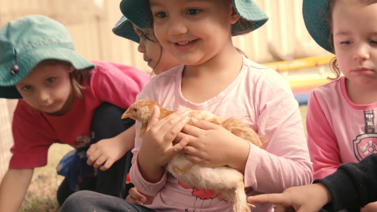 Let s Yarn About Kindy In Toowoomba YouTube let-s-yarn-about-kindy-in-toowoomba-youtube