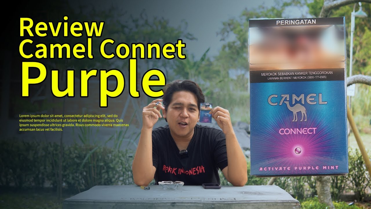 Review Camel Connet Purple | Rokok Indonesia - YouTube