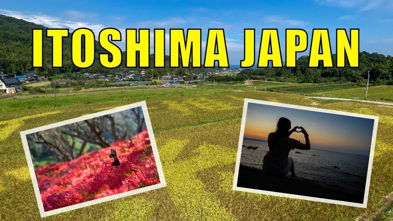 Red Rice Fields and Seaside Stay in Itoshima, Fukuoka! | Biking Japan ...