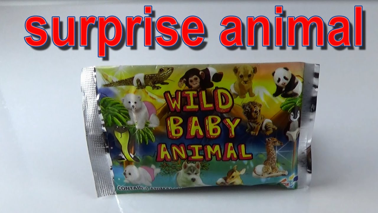 Wild baby animal blind bag surprise - YouTube