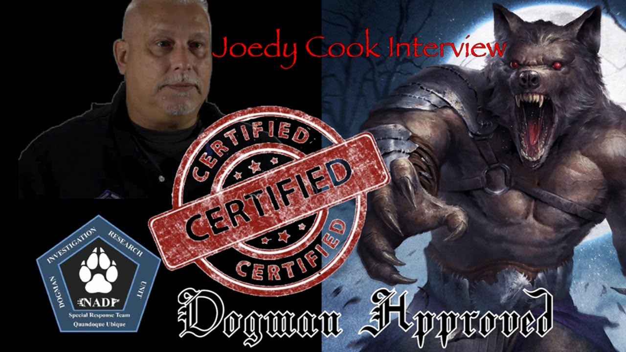 JOEDY COOK INTERVIEW EP11 - YouTube