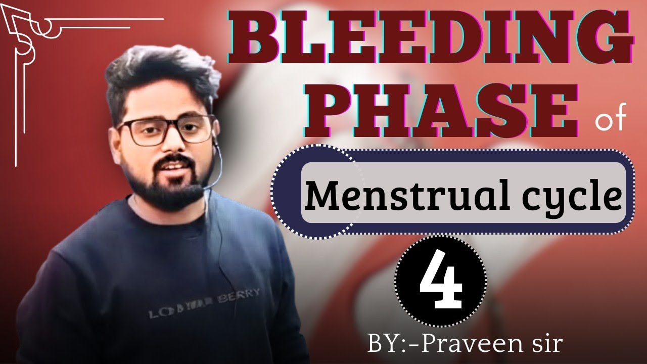 Bleeding phase of menstrual cycle || Uterine phase|| - YouTube
