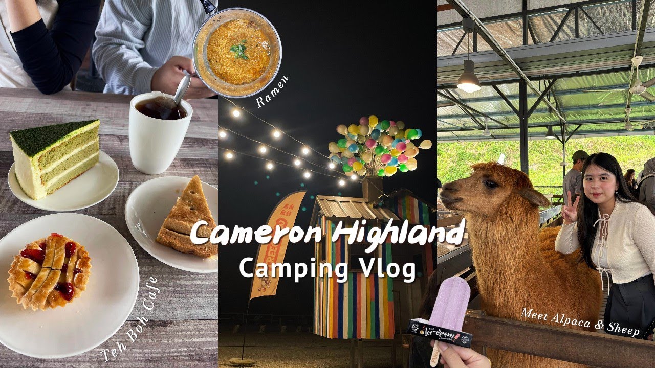 Camping in Cameron Highland🏞️: what i cook at camping, go to sheep ...