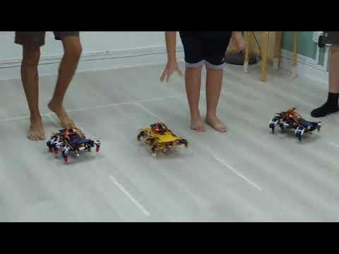 Arduino Walking Hexapod Robot 2023 - YouTube