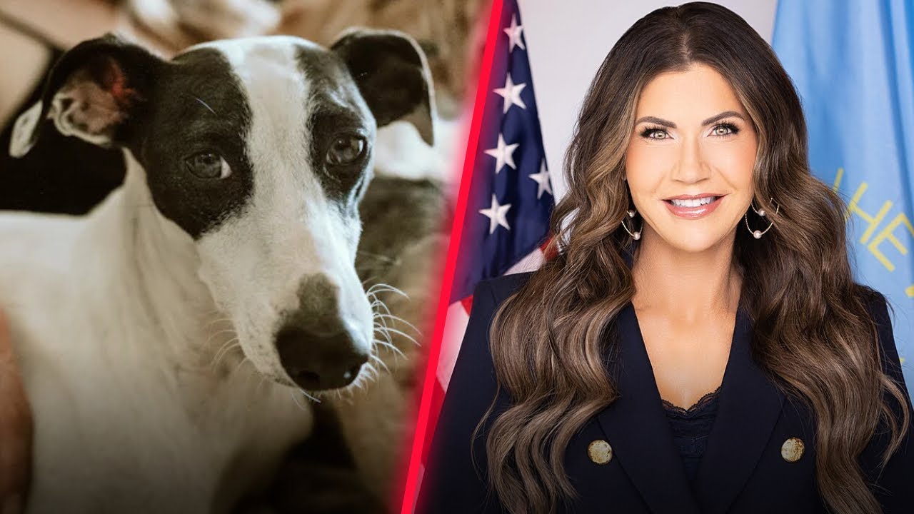 Kristi Noem Killing Her Dog Changed This Entire Election - YouTube