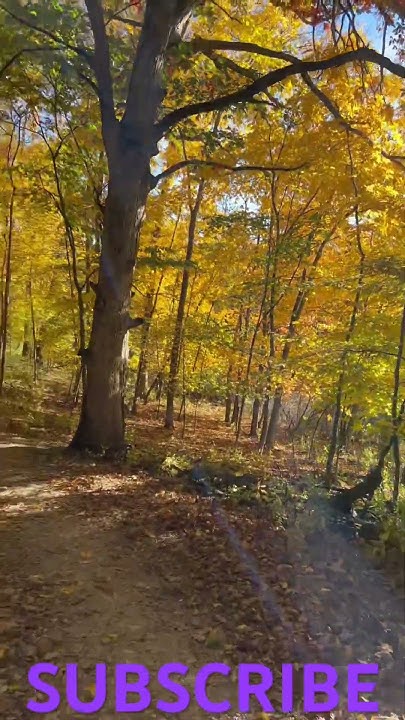 Beautiful Fall Day - YouTube