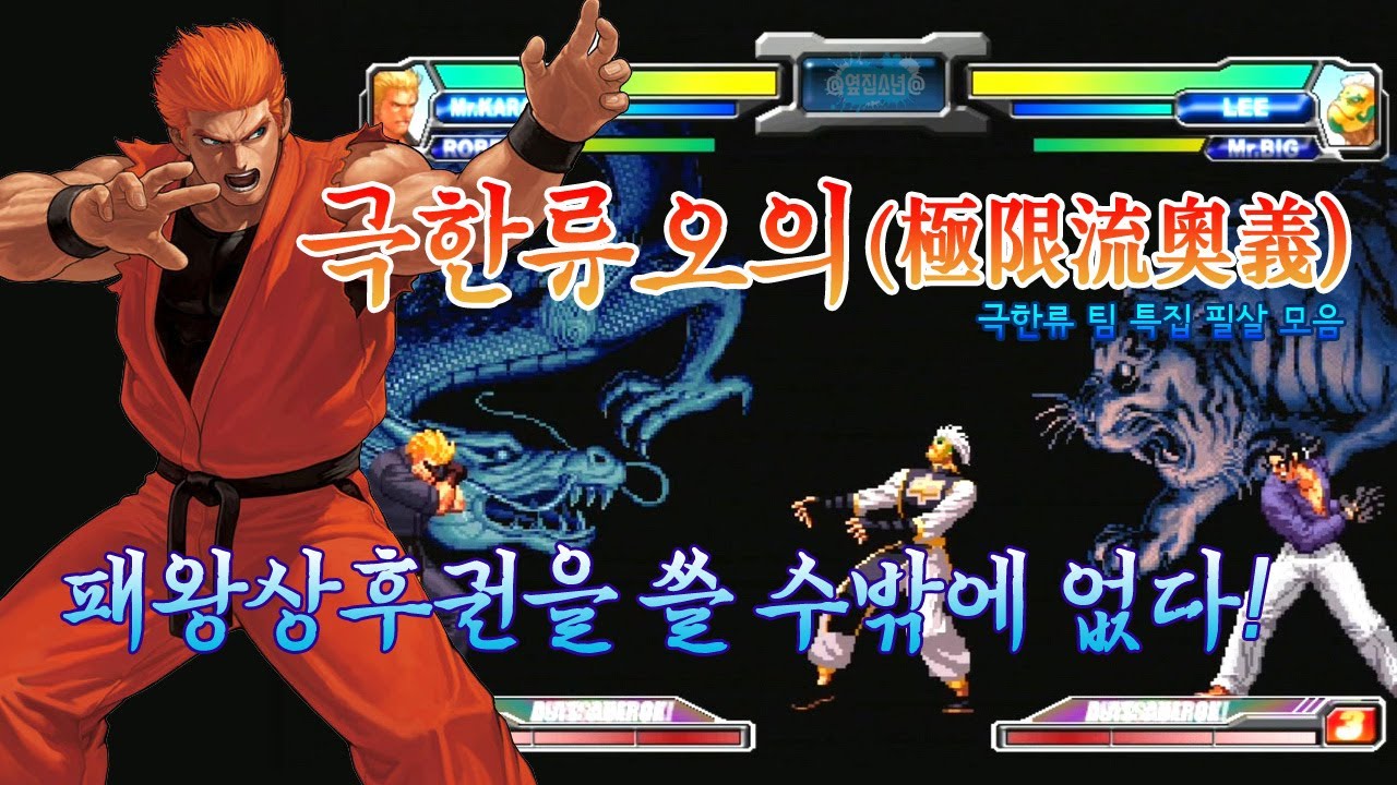 용호의 권 - 극한류공수 (極限流空手) : 극한류 오의 모음 영상 - [옆집소년 필살 모음 시리즈 #86 ...