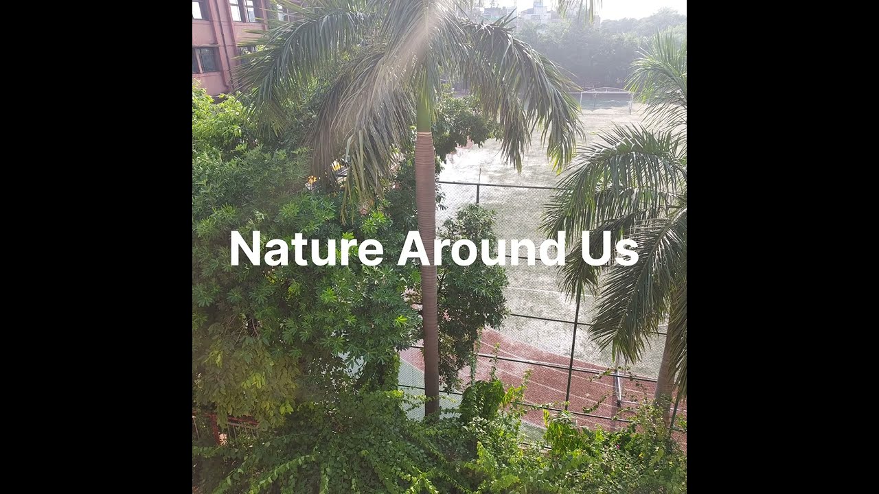 Beautiful Nature Around Us Running Rain @ Nature Around Us - YouTube