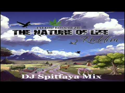 The Nature of Life Riddim Mix 2024_DJ Spitfaya_ft_Lutan Fyah_Jah Mason_Jah Bert_Branicle_Natty ...