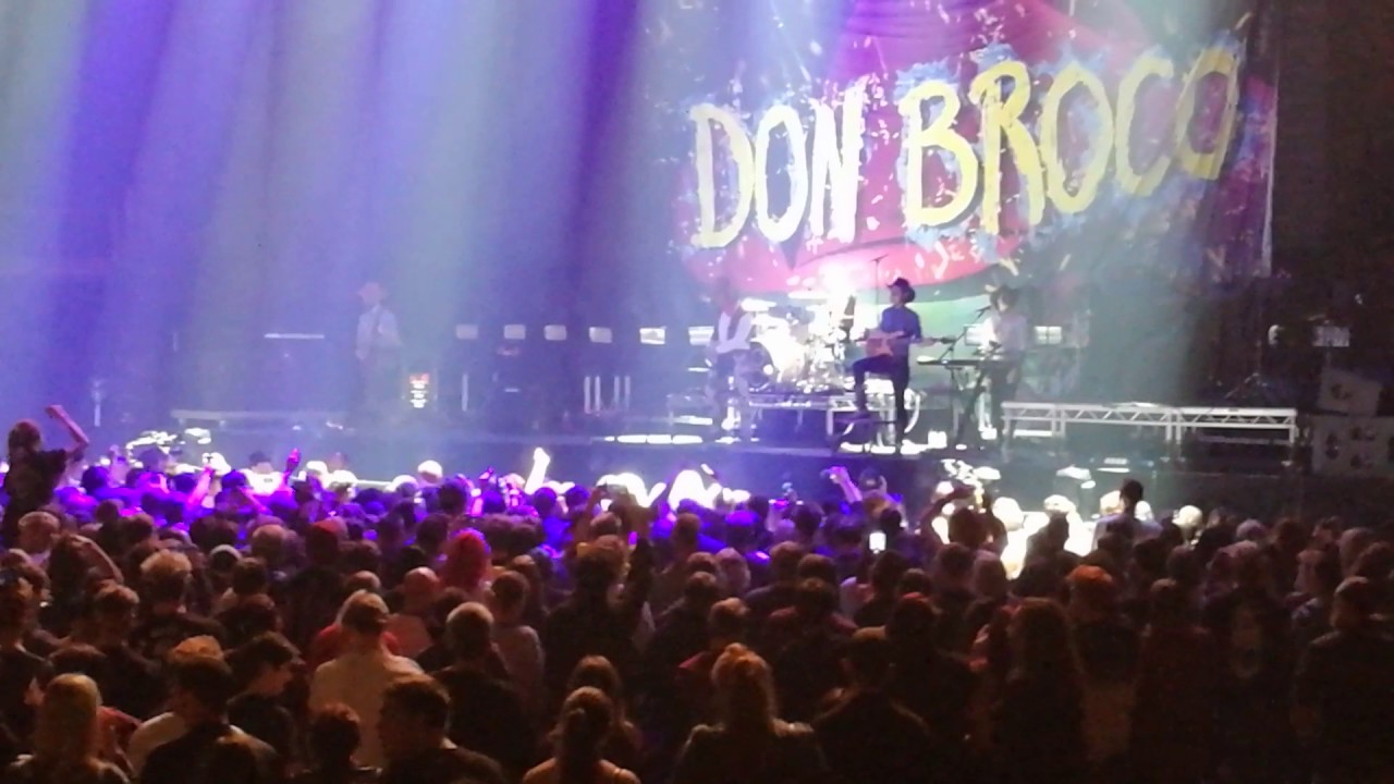 Everybody - DON BROCO (Live at the O2) - YouTube