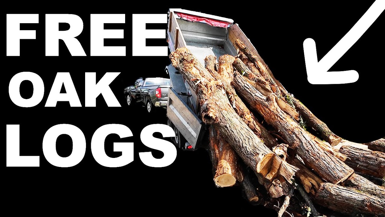 FREE WHITE OAK LOGS... OVER 4 FULL CORDS!! - YouTube