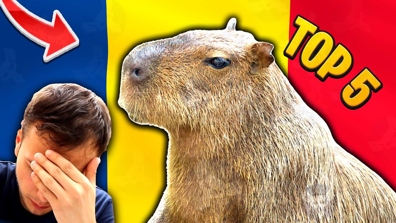 TOP 5 Capybara MAXINFINITE ! Nr 1 ? - YouTube