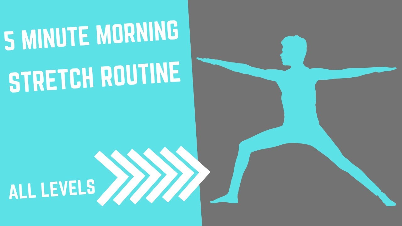 5 Minute Morning Stretch Routine [All Levels] - YouTube