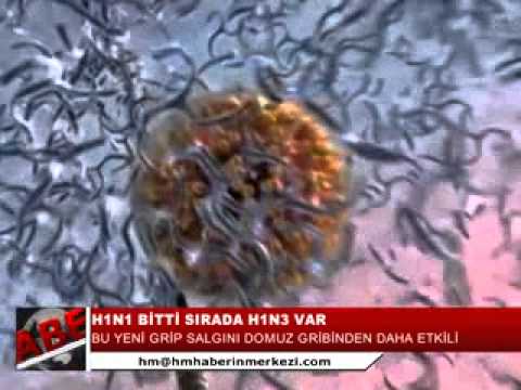 01 H1N3 GRİP - YouTube
