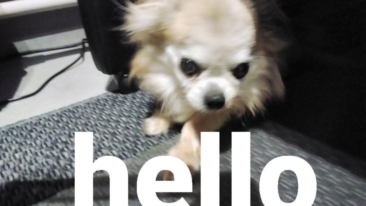 hello!!! - YouTube