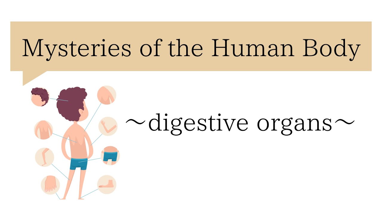 Mysteries of the Human Body - YouTube