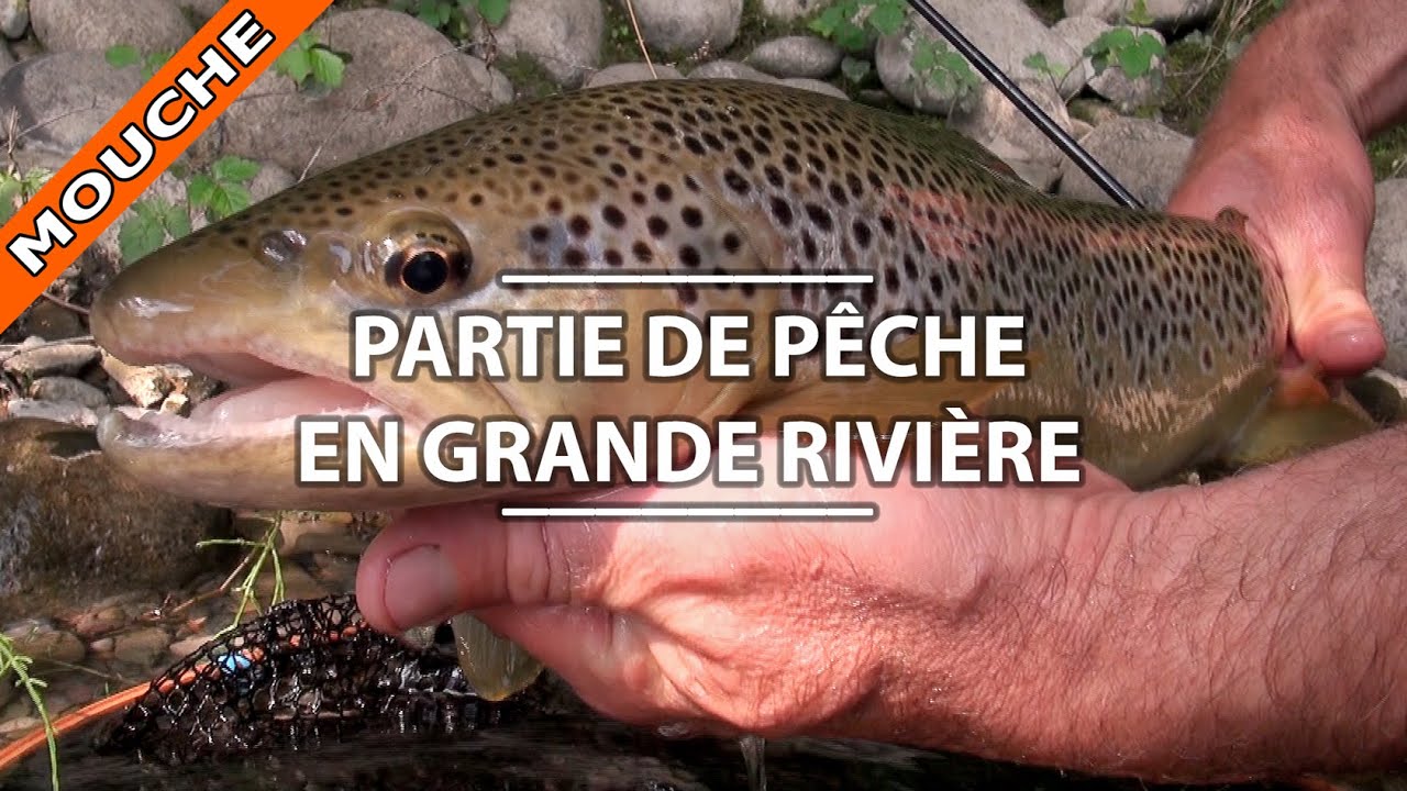 PÊCHE de la TRUITE à la MOUCHE en GRANDE RIVIÈRE - YouTube