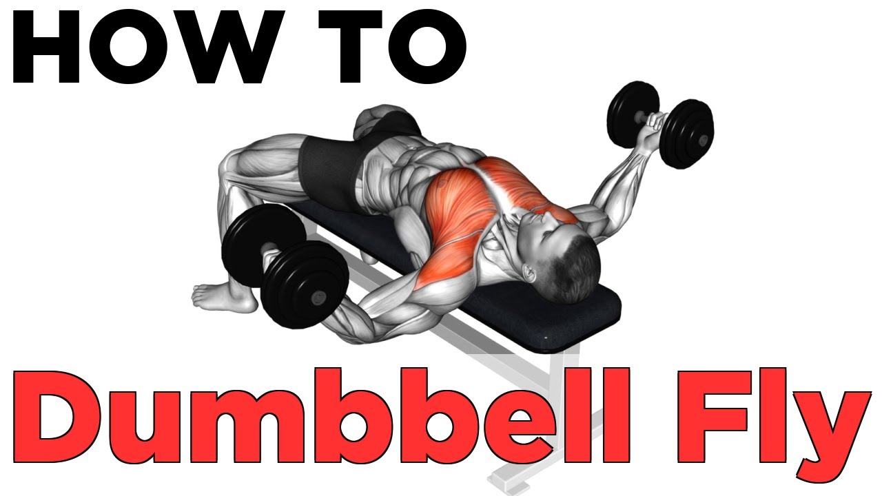How to Dumbbell Fly - YouTube