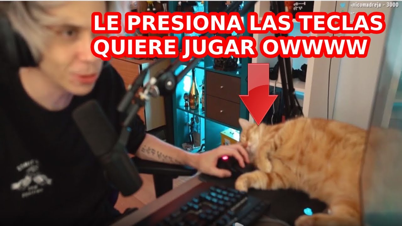 Wilson el Gato Vago del Rubius 😍😍😍 - YouTube