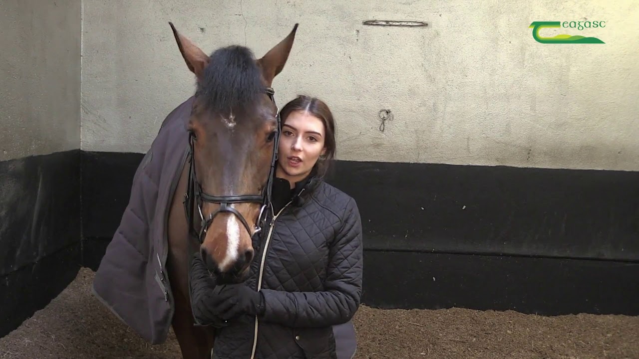 Ellie Ryan discusses studying equine at Kildalton College - YouTube