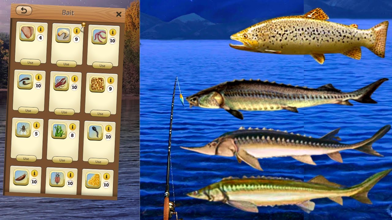 Catching 4 Different Types of Sturgeons | 40KG+ STURG!! | Let's Fish ...