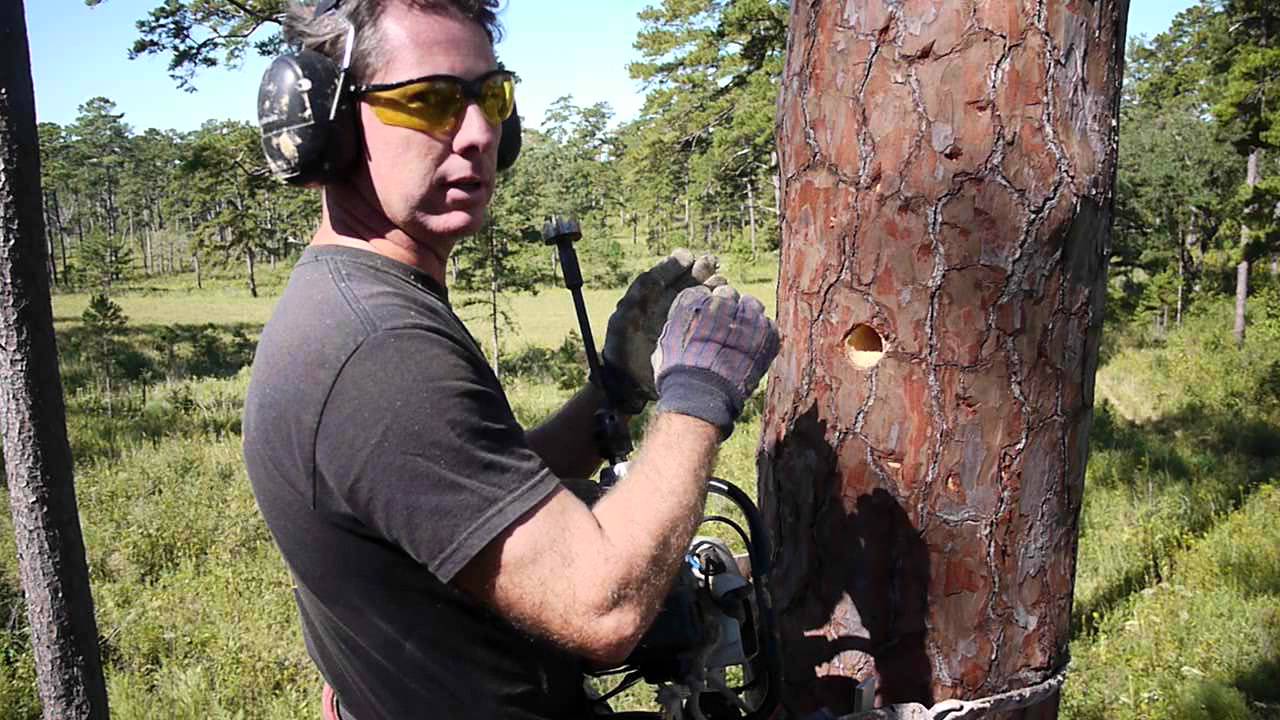 Advanced Start of RCW Cavity - watch at 720p! - YouTube