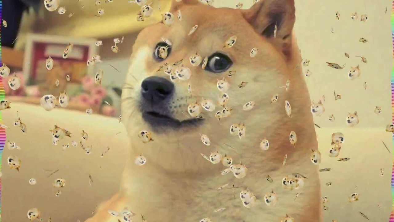 Doge Audio Test - YouTube
